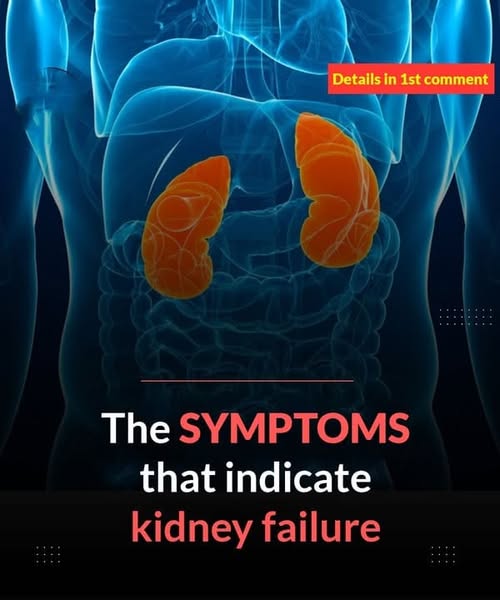 The first SYMPTOMS that w:arn of kidney failure DO NOT ignore them ...
