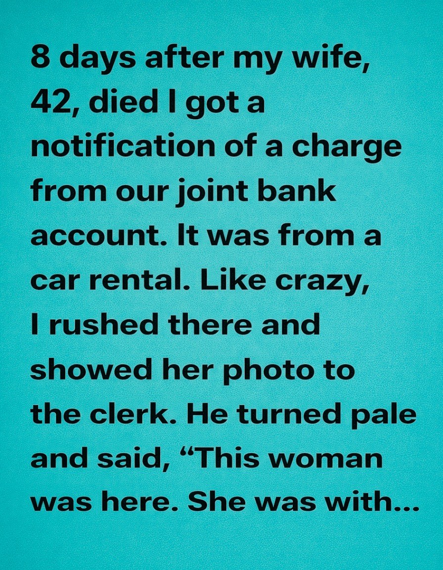 A Simple Notification That Changed Everything – The Daily Beat