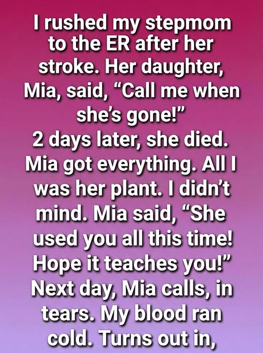 The Jade Plant’s Secret — A Story of Quiet Love, Misunderstood ...