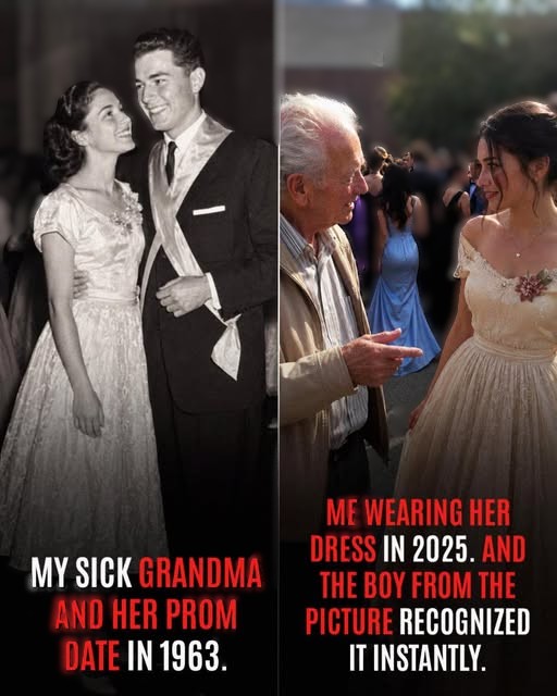 A Strange Elderly Man Recognized My Grandmother’s Dress at My Prom – I ...